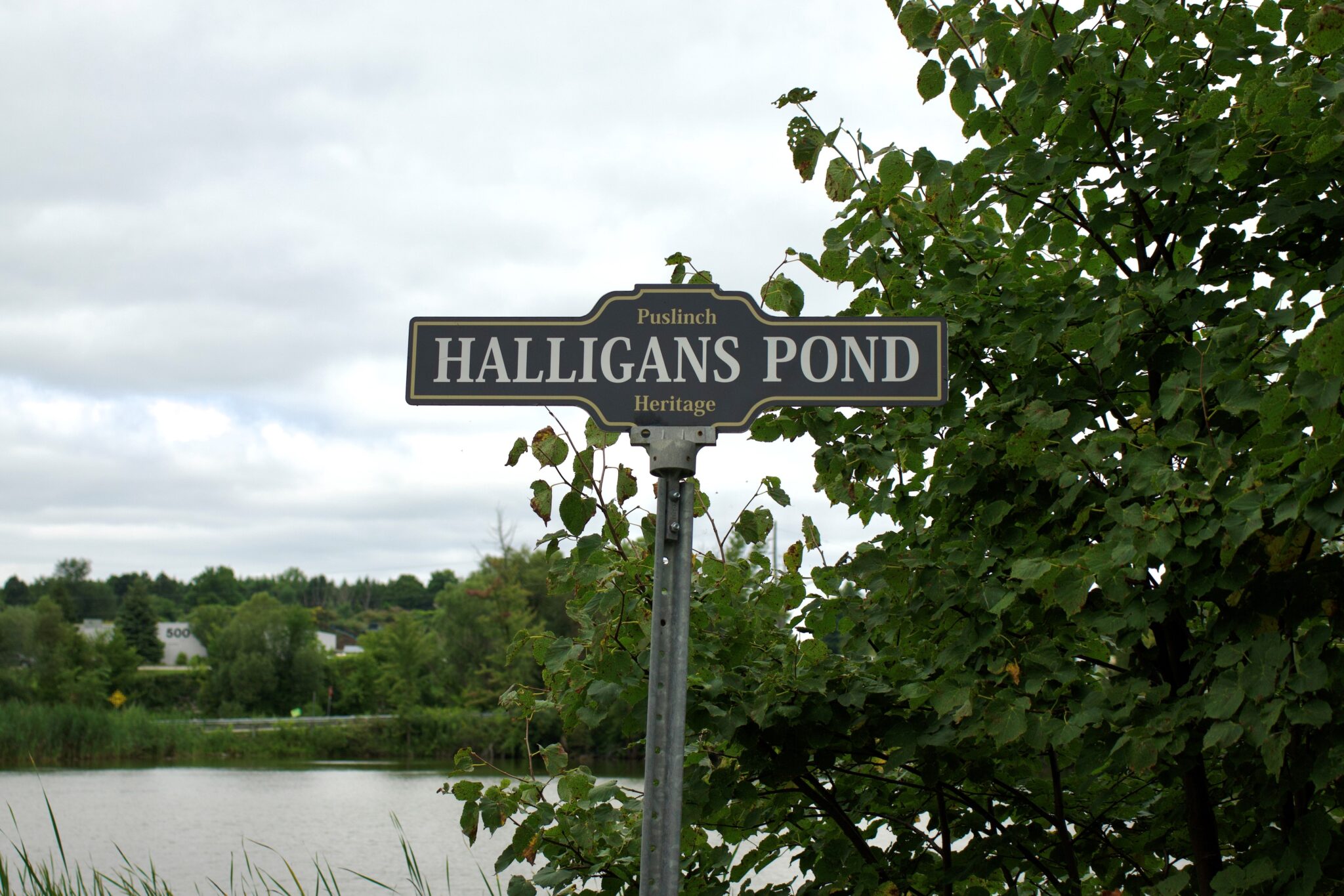 Natural Heritage Features - Township of Puslinch