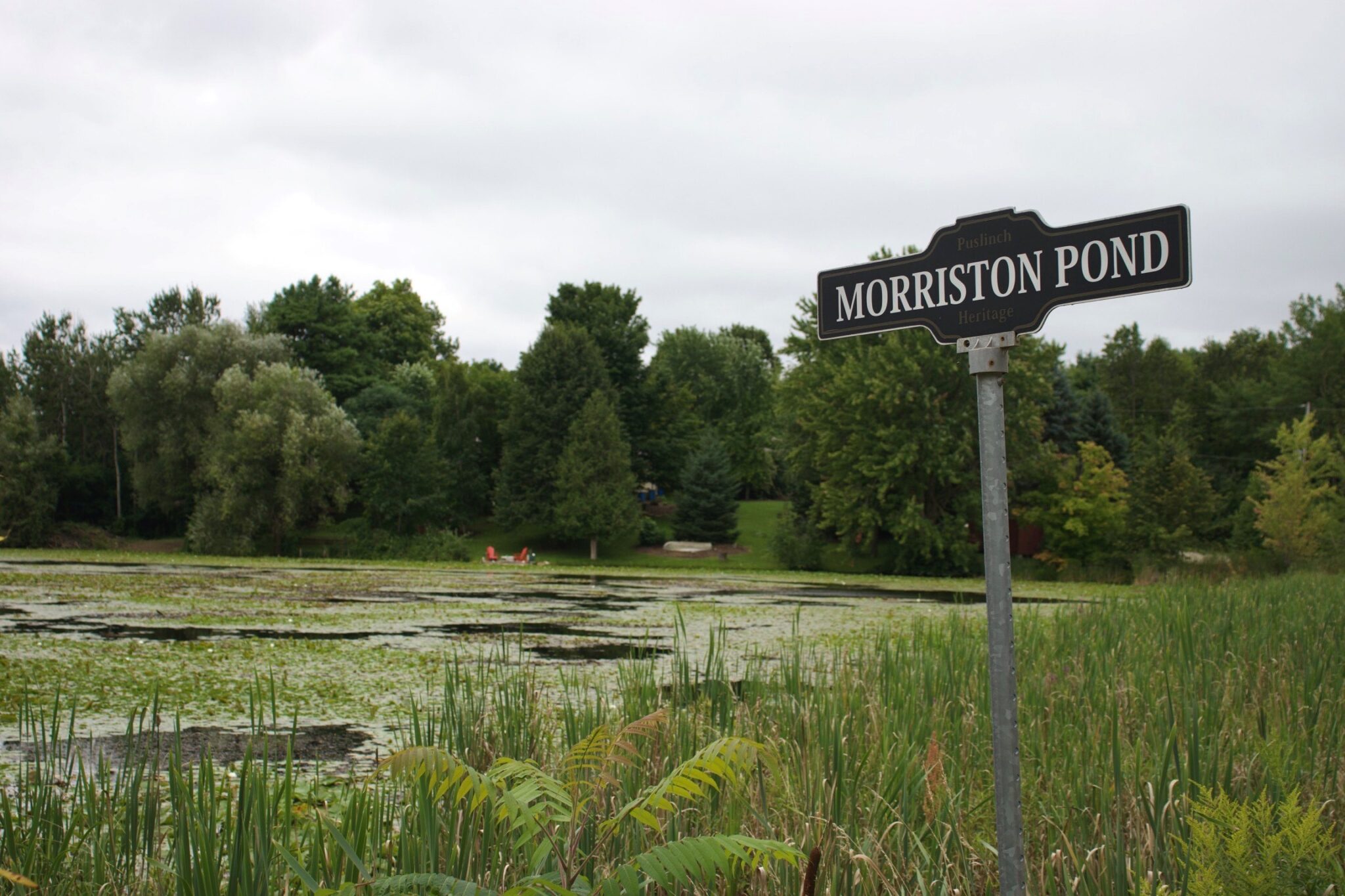 Natural Heritage Features - Township of Puslinch